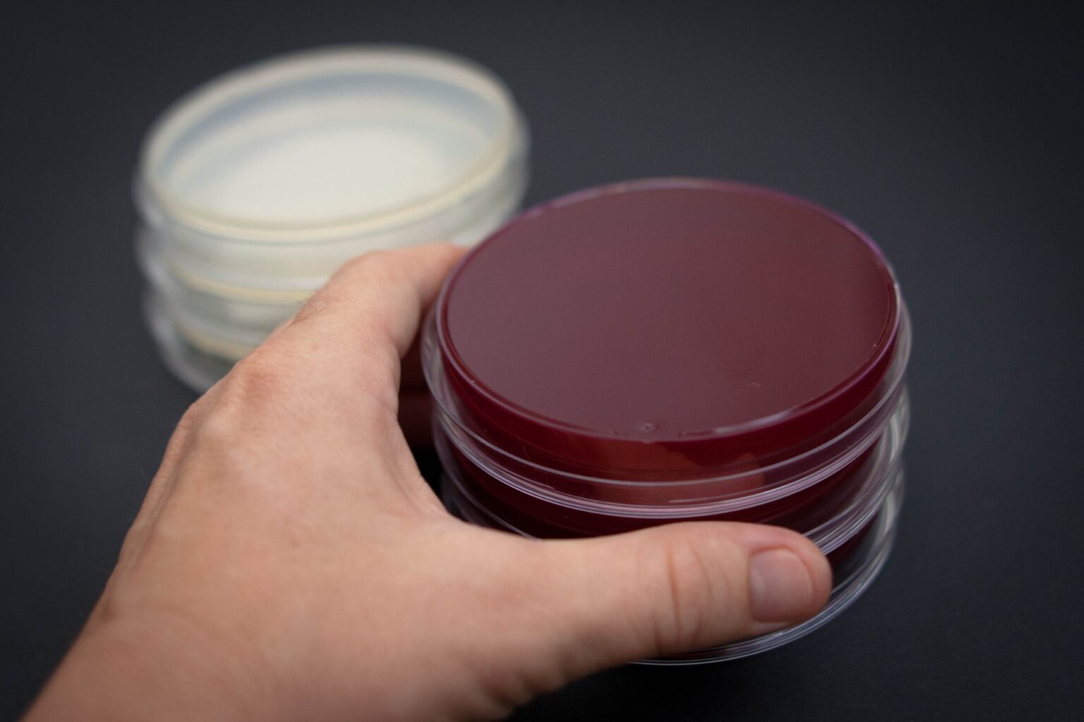 Maine Labpack Microbiology Waste
